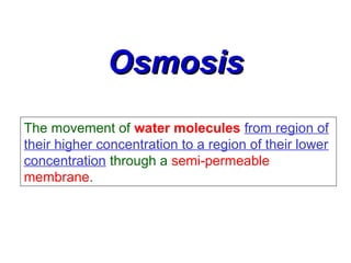 CHAPTER 3: MOVEMENT OF SUBSTANCES ACROSS THE PLASMA MEMBRANE | PPT