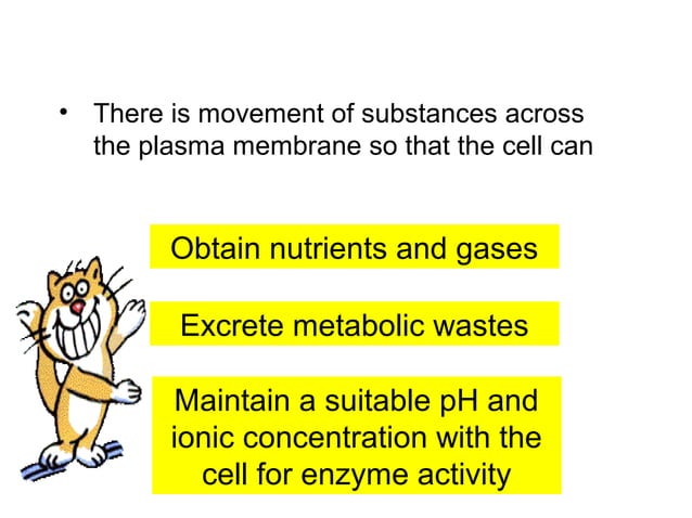 CHAPTER 3: MOVEMENT OF SUBSTANCES ACROSS THE PLASMA MEMBRANE | PPT