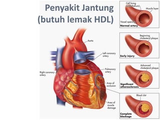 Chapter 3. lipid | PPTX