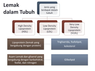 Chapter 3. lipid | PPTX