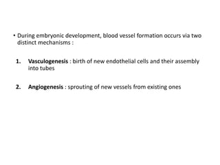 Chapter 3.1 tumor angiogneisis | PPTX