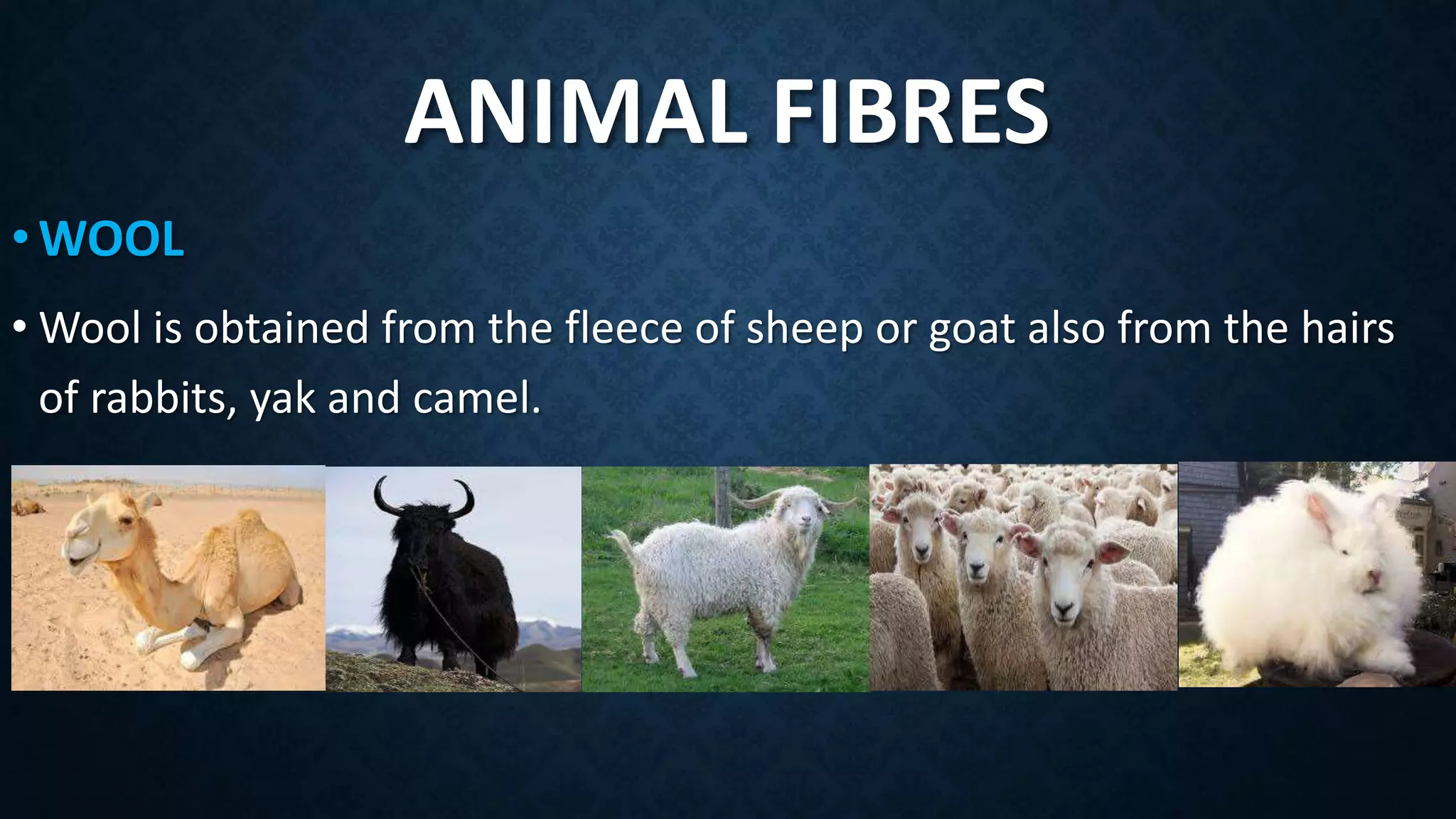 Fibre to Fabric Class 6th Chapter 3 Science | PPTX