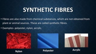 Fibre to Fabric Class 6th Chapter 3 Science | PPTX