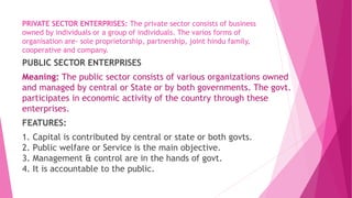 Private and Public Enterprise | PPTX