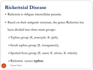 Chapter 3. Serology(1).pptx