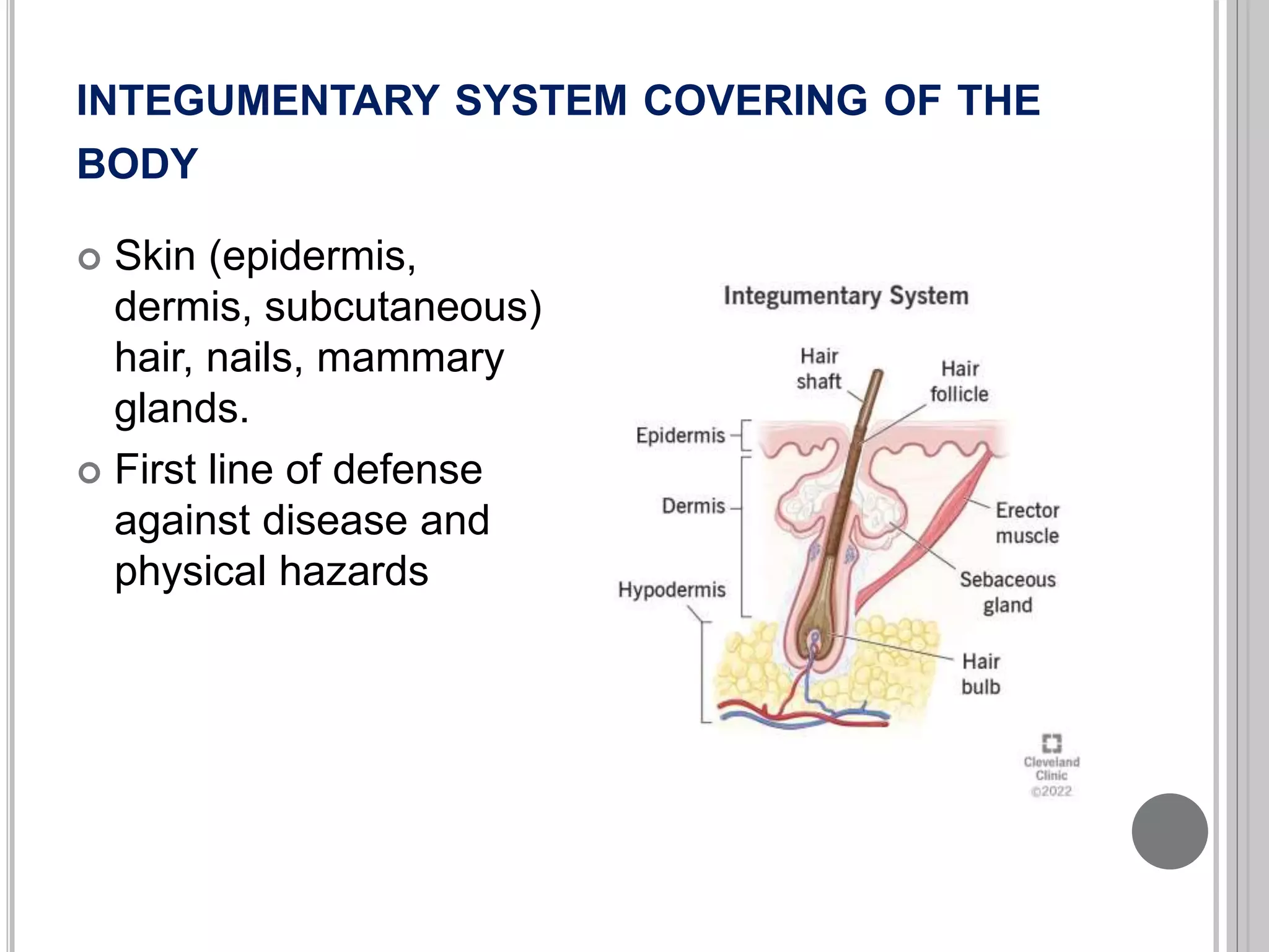 medical terminology | PPTX