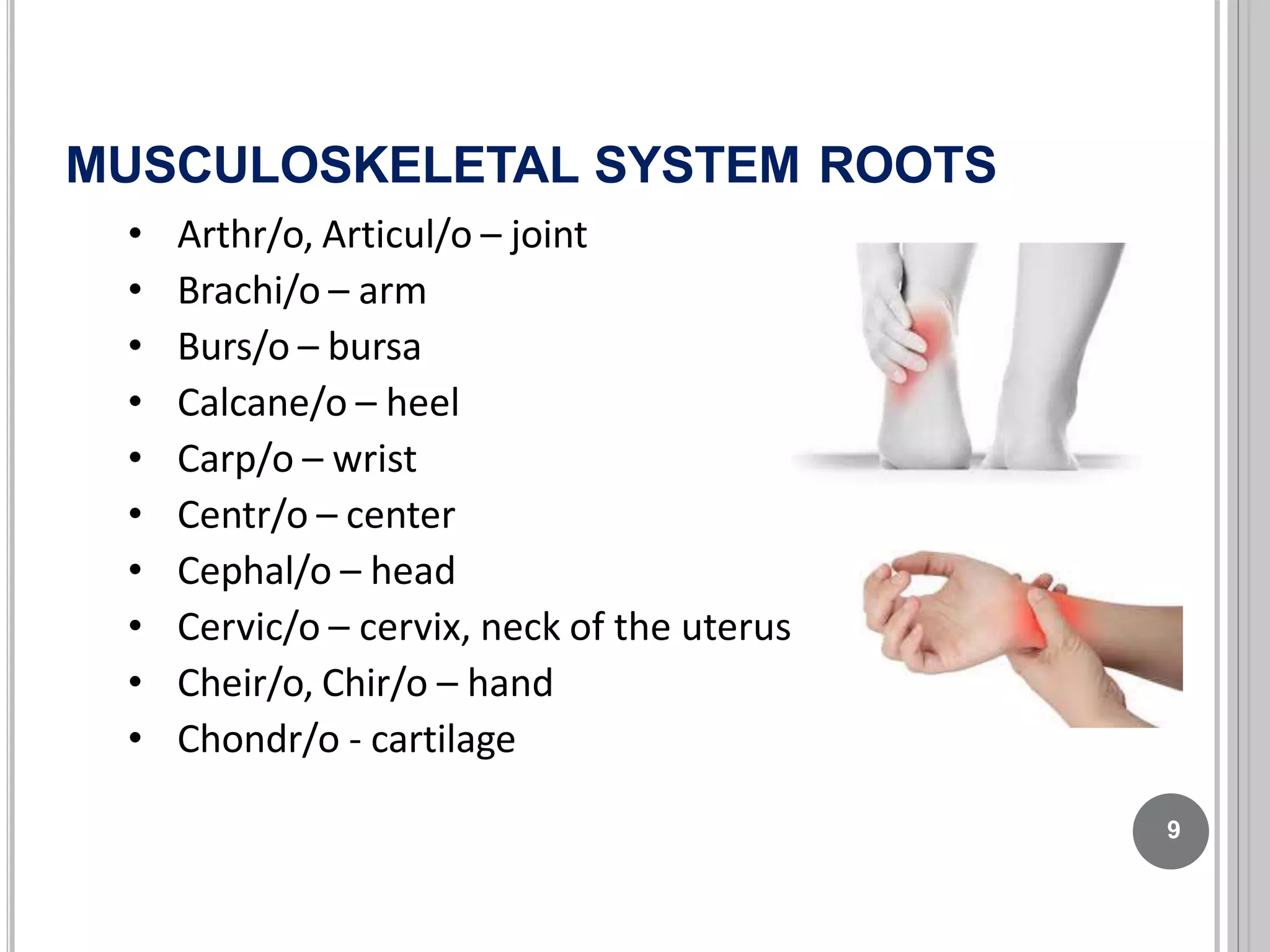 medical terminology | PPTX