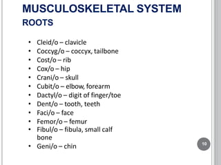medical terminology | PPTX