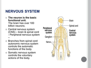 medical terminology | PPTX