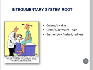 medical terminology | PPTX