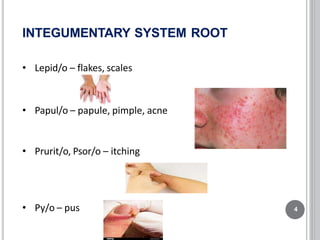 medical terminology | PPTX