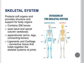 medical terminology | PPTX