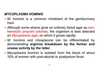 Chapter 3.9. Genus Mycoplasma and Ureaplasma.ppt