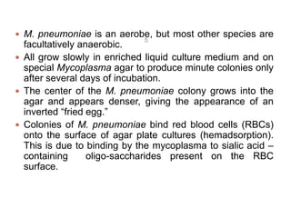 Chapter 3.9. Genus Mycoplasma and Ureaplasma.ppt