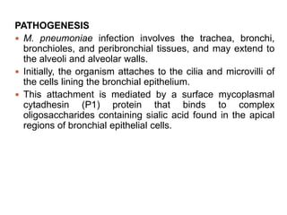 Chapter 3.9. Genus Mycoplasma and Ureaplasma.ppt