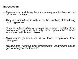 Chapter 3.9. Genus Mycoplasma and Ureaplasma.ppt