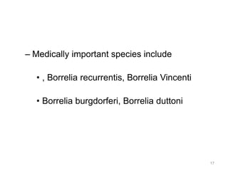 Chapter 3.8. Family Spirochaetaceae and Leptospiraceae (1).ppt