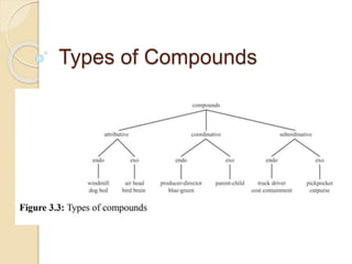 CHAPTER 3. Lexeme Formation (Morphology (Linguistics) | PPTX