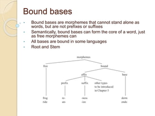 CHAPTER 3. Lexeme Formation (Morphology (Linguistics) | PPTX