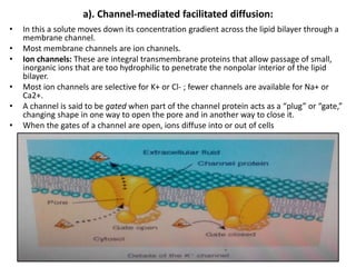 Cell membrane.pptx