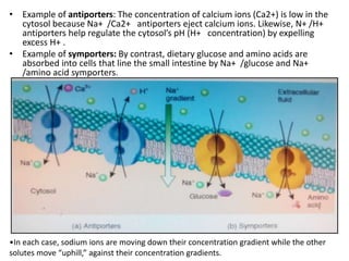 Cell membrane.pptx
