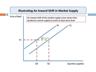 Microeconomics - International Supply Theory.pptx