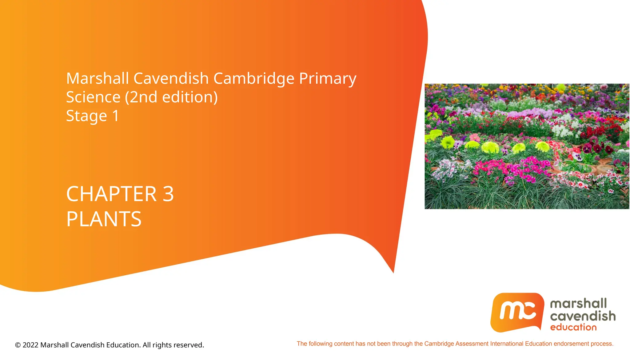 plants needs and plants parts chapter3.grade 3 | PPTX