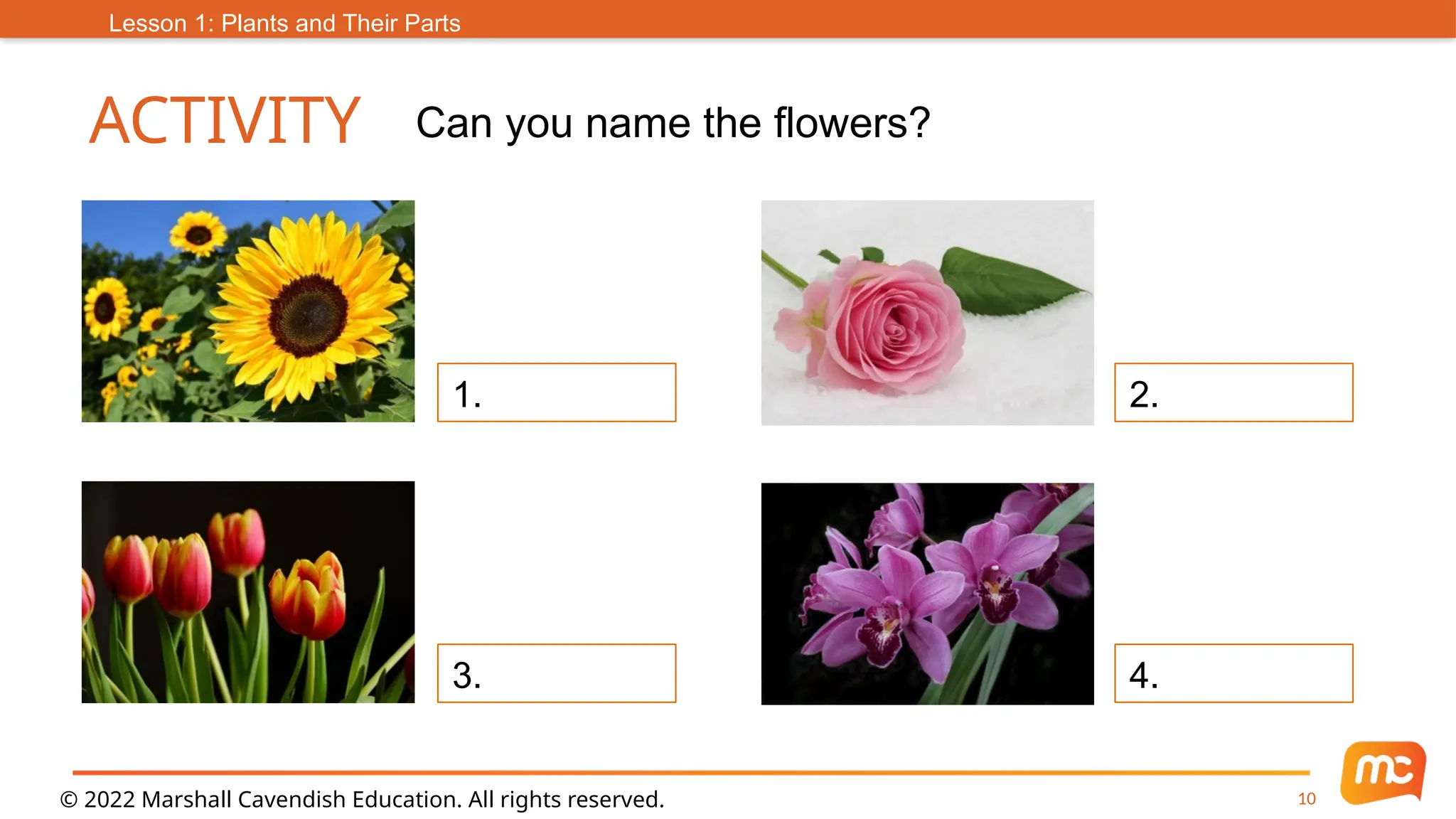 plants needs and plants parts chapter3.grade 3 | PPTX