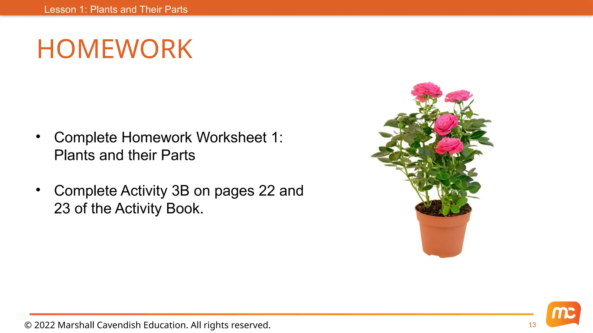 plants needs and plants parts chapter3.grade 3 | PPTX