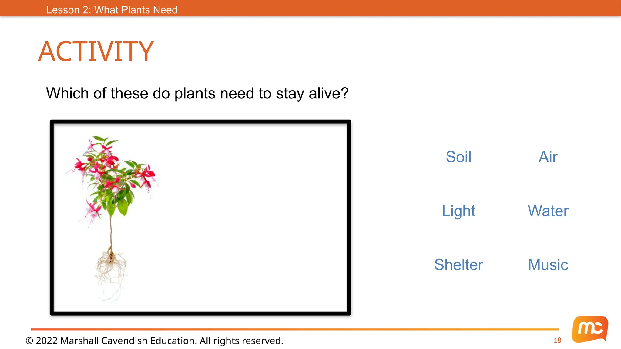 plants needs and plants parts chapter3.grade 3 | PPTX
