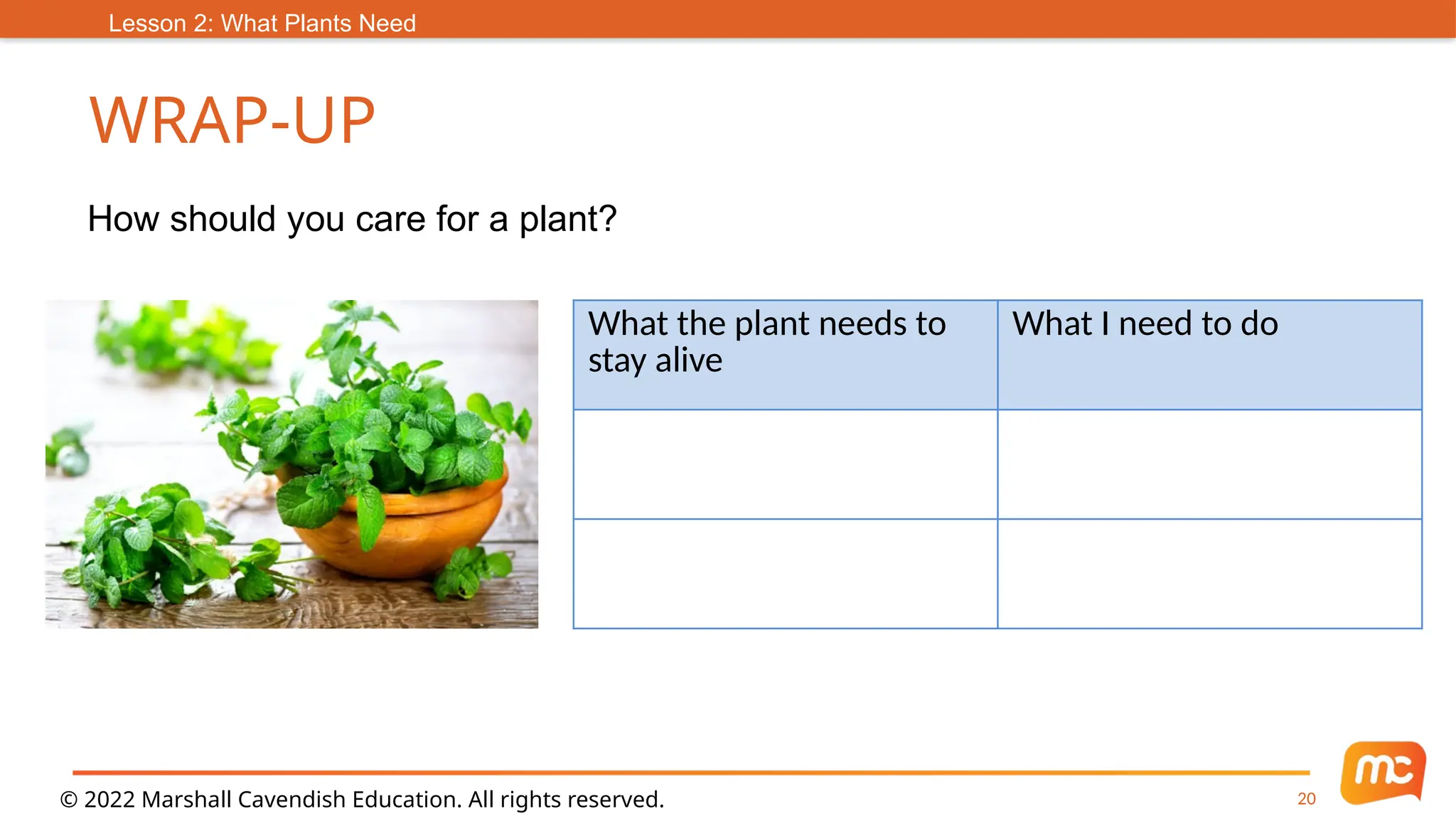 plants needs and plants parts chapter3.grade 3 | PPTX