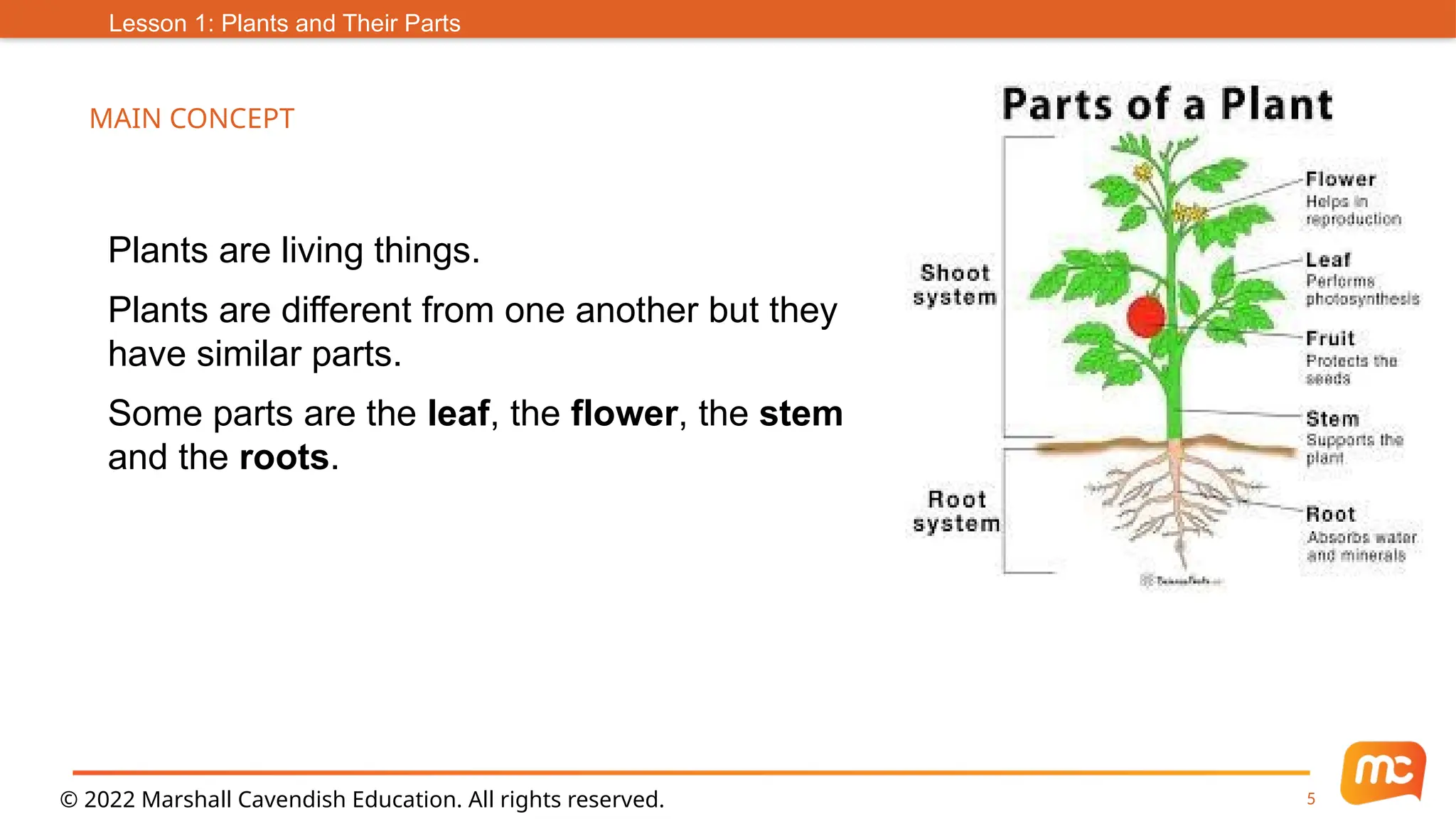plants needs and plants parts chapter3.grade 3 | PPTX