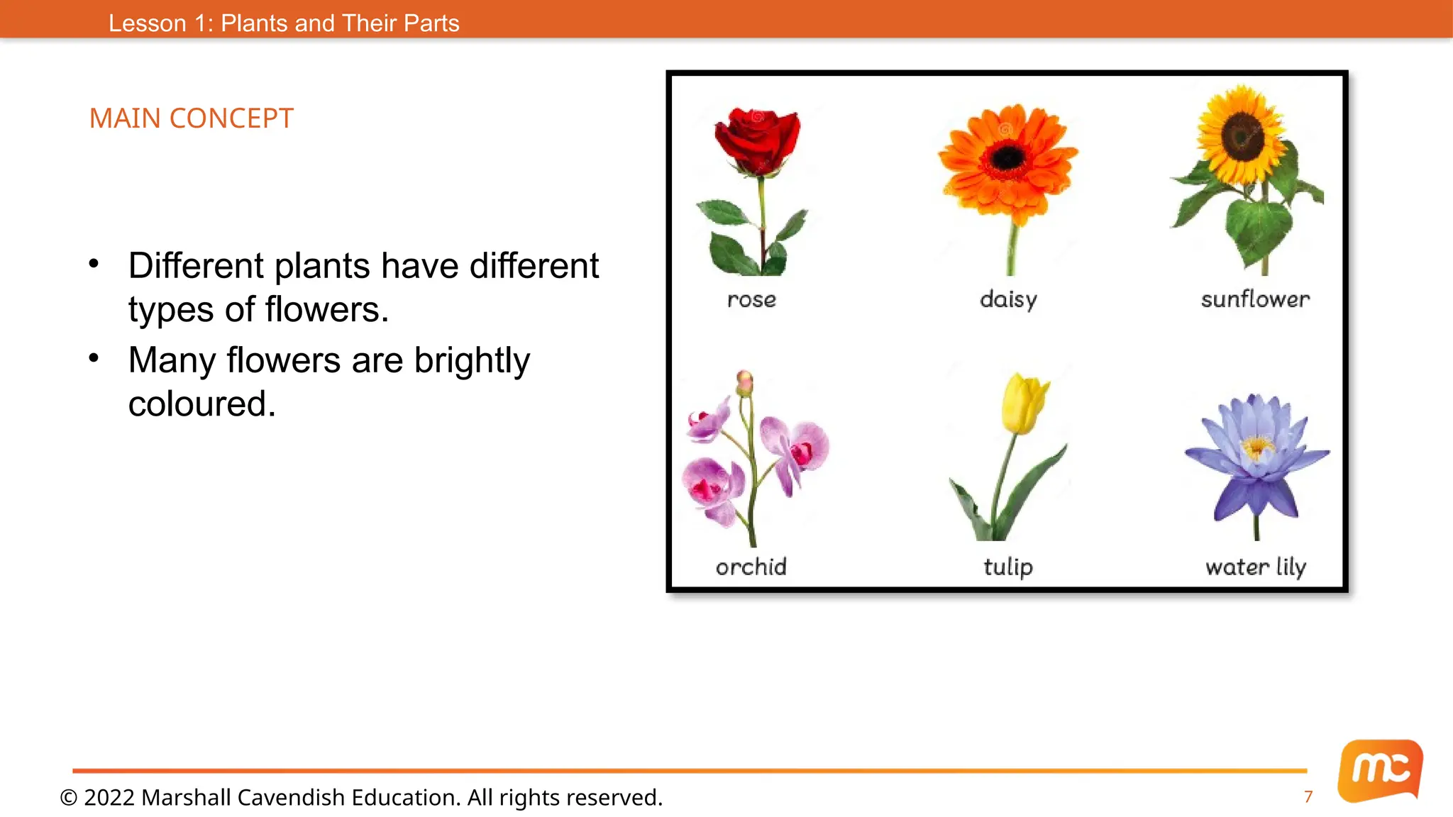 plants needs and plants parts chapter3.grade 3 | PPTX