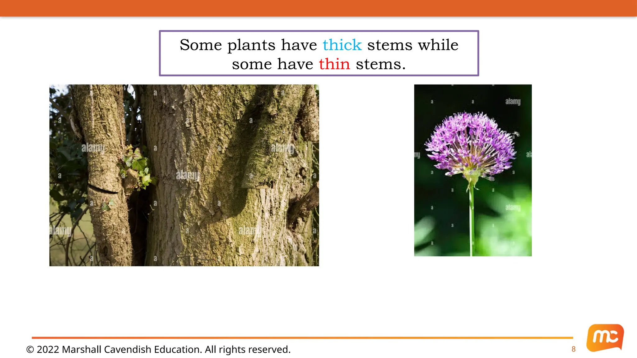 plants needs and plants parts chapter3.grade 3 | PPTX