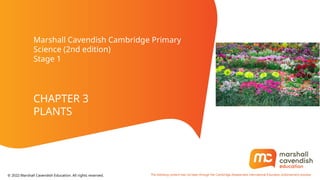 plants needs and plants parts chapter3.grade 3 | PPTX