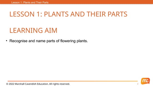 plants needs and plants parts chapter3.grade 3 | PPTX