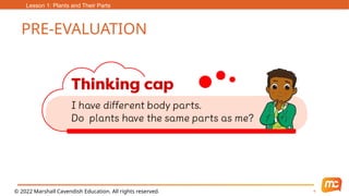 plants needs and plants parts chapter3.grade 3 | PPTX
