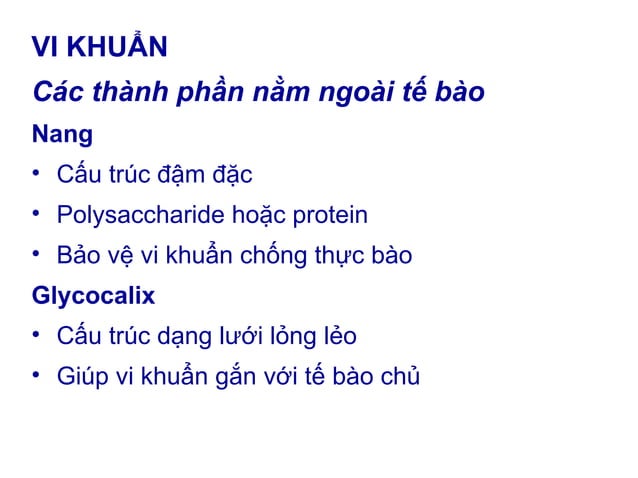 Chapter 3 - Introduction of Prokaryotic microorganisms | PPT