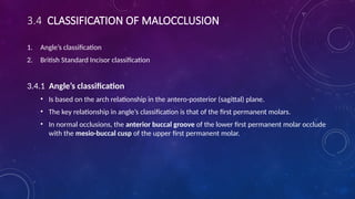 Chapter 3: Malocclusion and normal occlusion.pptx