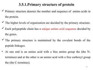 CHAPTER 3.pptx structure and function of amino acid and protein | PPTX
