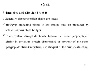 CHAPTER 3.pptx structure and function of amino acid and protein | PPTX