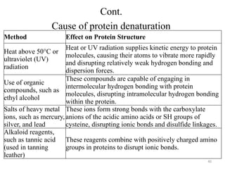 CHAPTER 3.pptx structure and function of amino acid and protein | PPTX