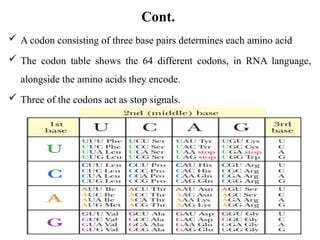 CHAPTER 3.pptx structure and function of amino acid and protein | PPTX