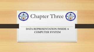 Comprehensive Guide to Data Representation in Computer Systems: Binary ...