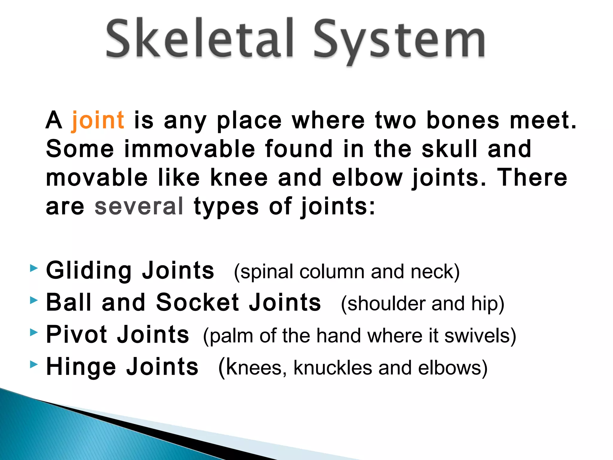 Chapter 3 anatomy and physiology | PPT