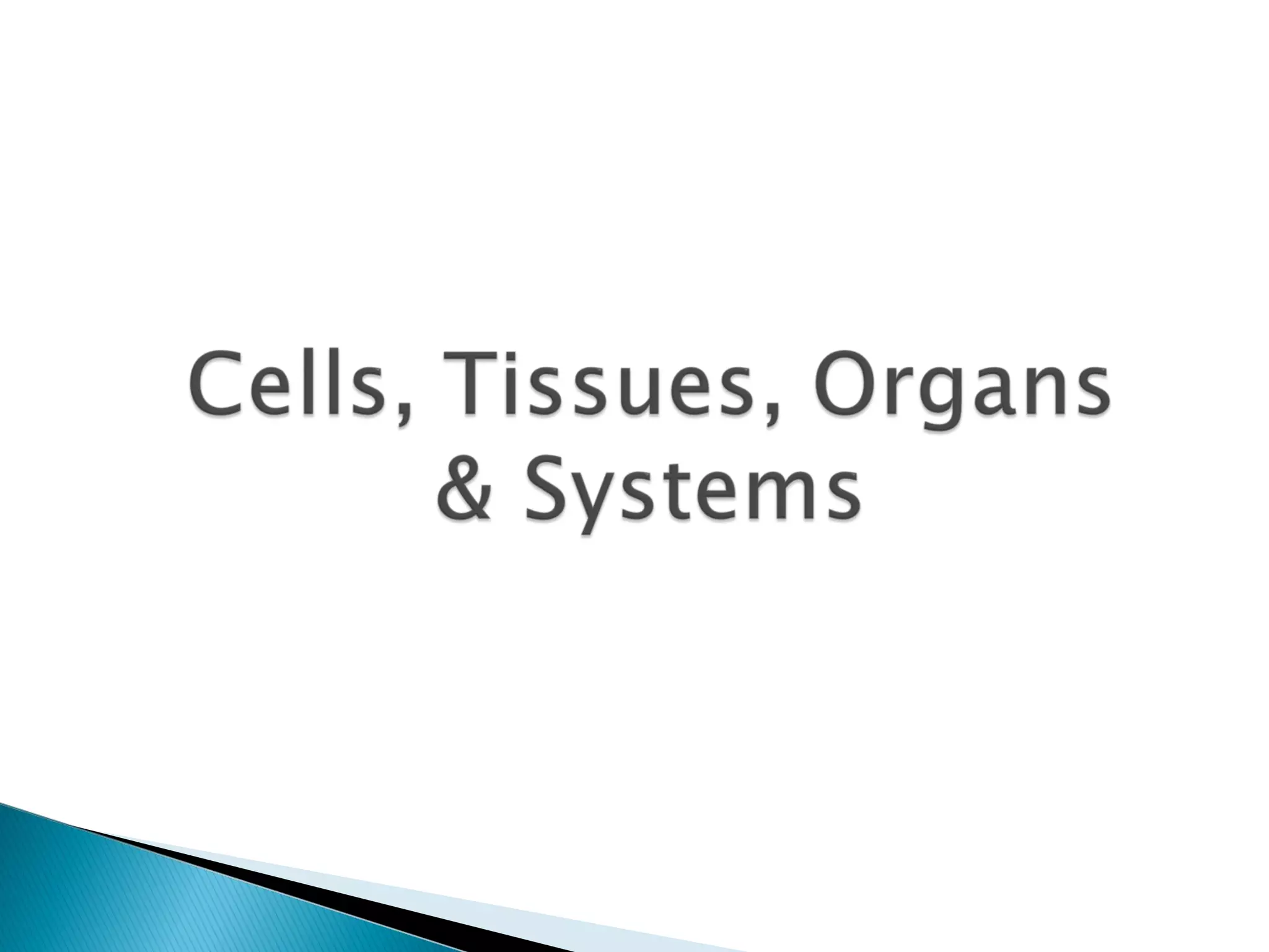Chapter 3 anatomy and physiology | PPT