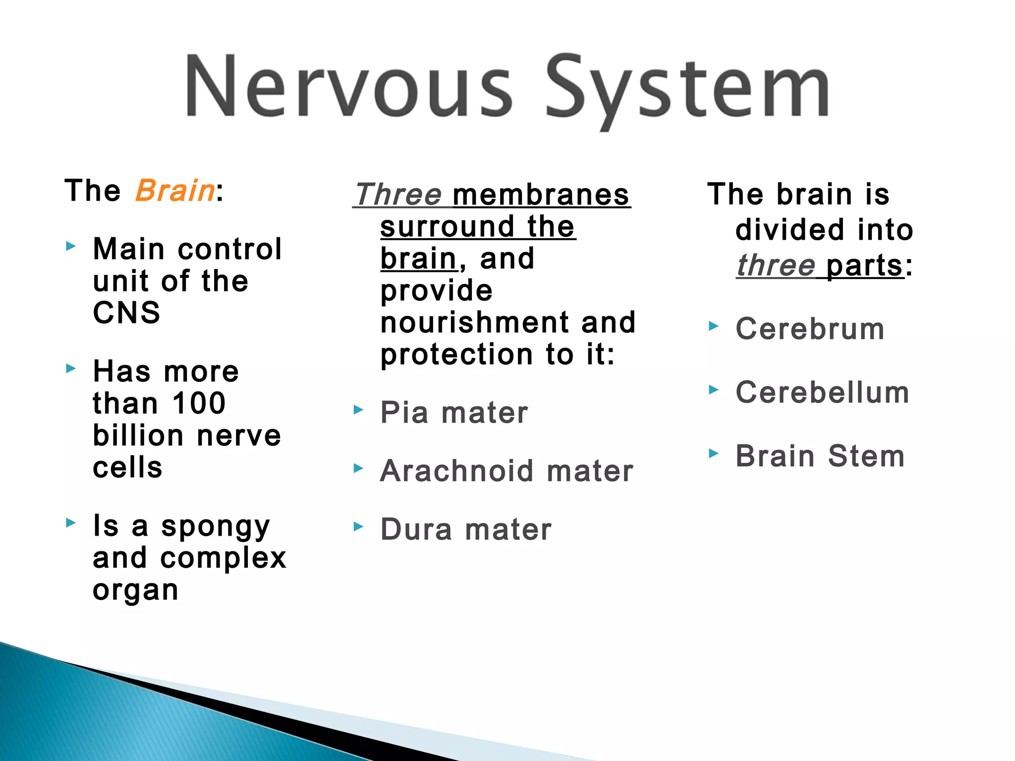 Chapter 3 anatomy and physiology | PPT