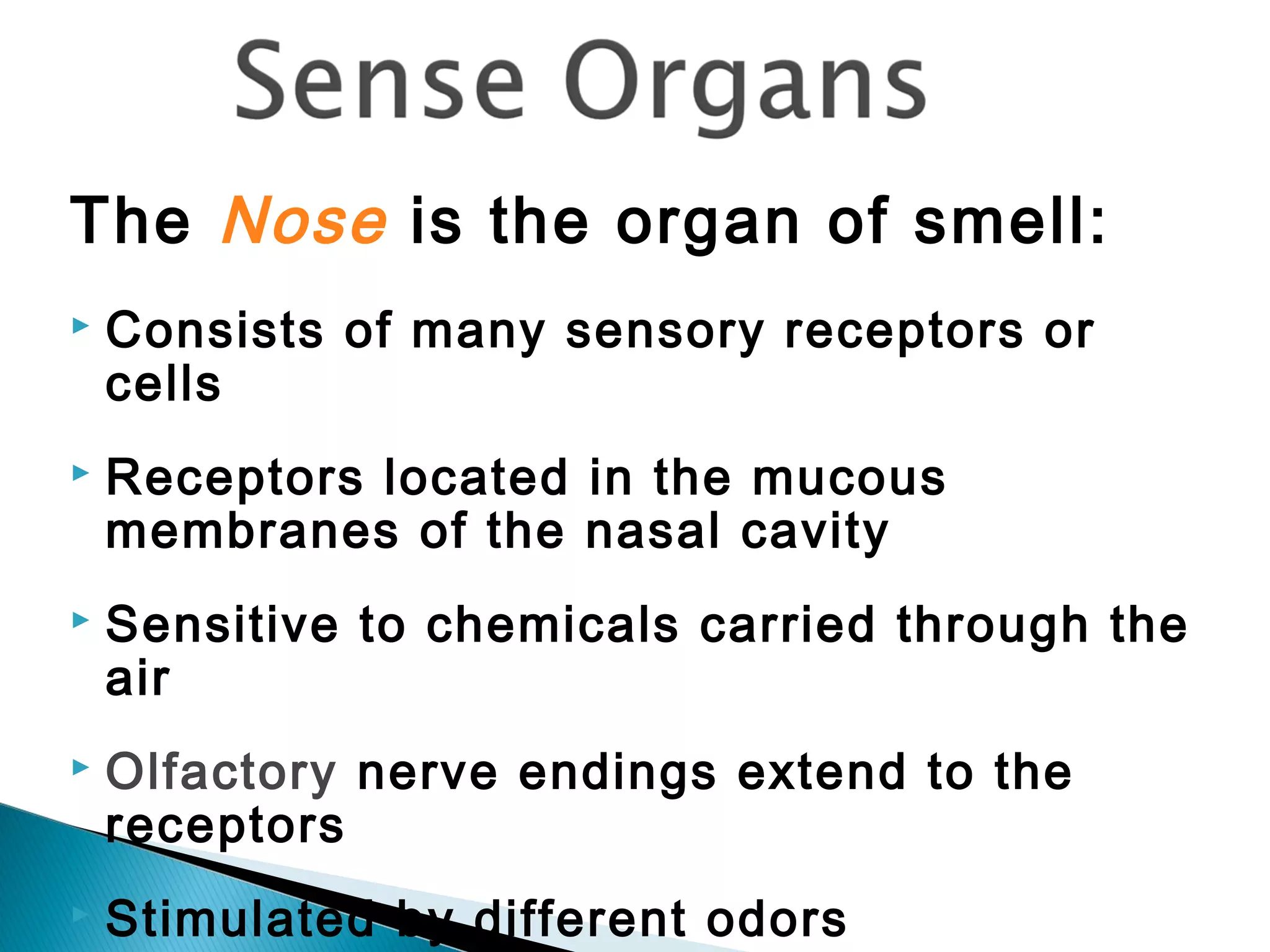 Chapter 3 anatomy and physiology | PPT
