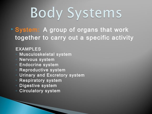 Chapter 3 anatomy and physiology | PPT