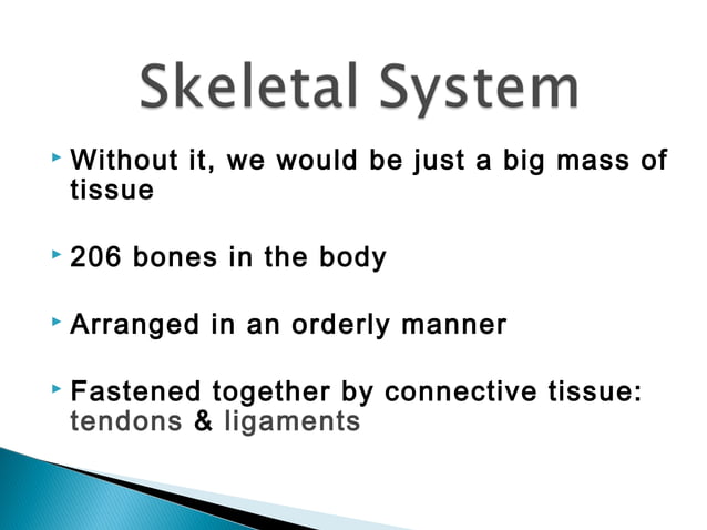 Chapter 3 anatomy and physiology | PPT